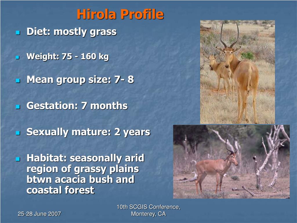 PPT - Francis Kamau Muthoni Terra Nuova East Africa Transboundary ...