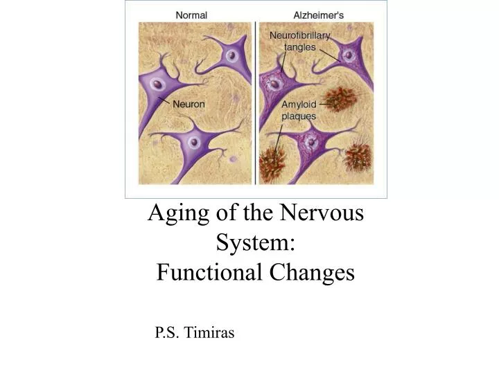 PPT - Aging of the Nervous System: Functional Changes PowerPoint ...