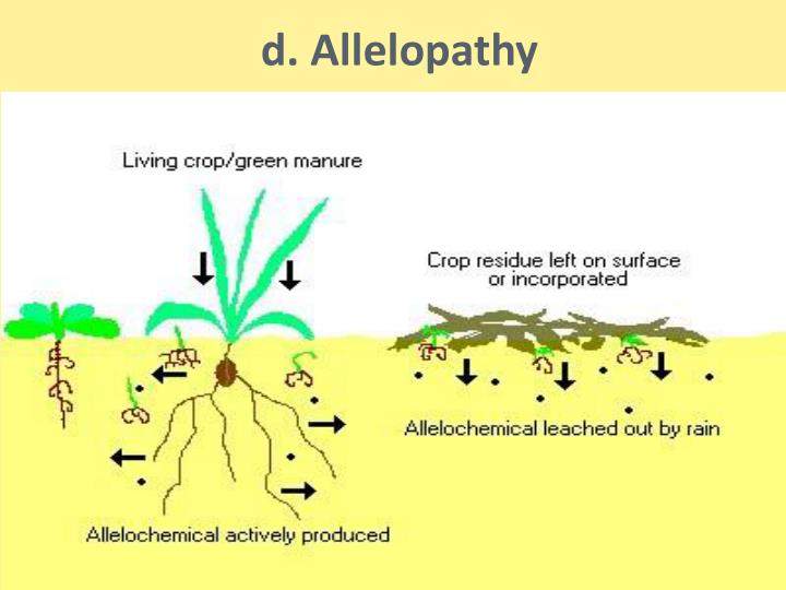 PPT - One of the Most Serious Vegetable Production Problem in Texas ...