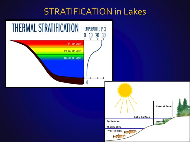 PPT - Chemical and Physical Properties of Water and Water Pollution ...