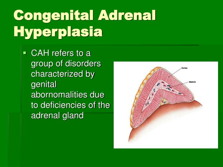 PPT - Congenital Adrenal Hyperplasia (CAH) PowerPoint Presentation - ID ...