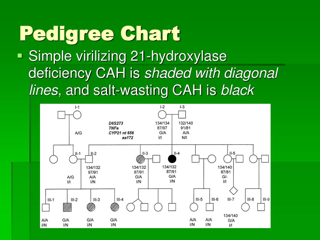 PPT - Congenital Adrenal Hyperplasia (CAH) PowerPoint Presentation ...