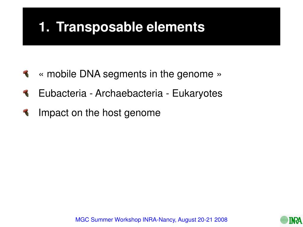 PPT - Transposable elements in Melampsora larici-populina genome ...