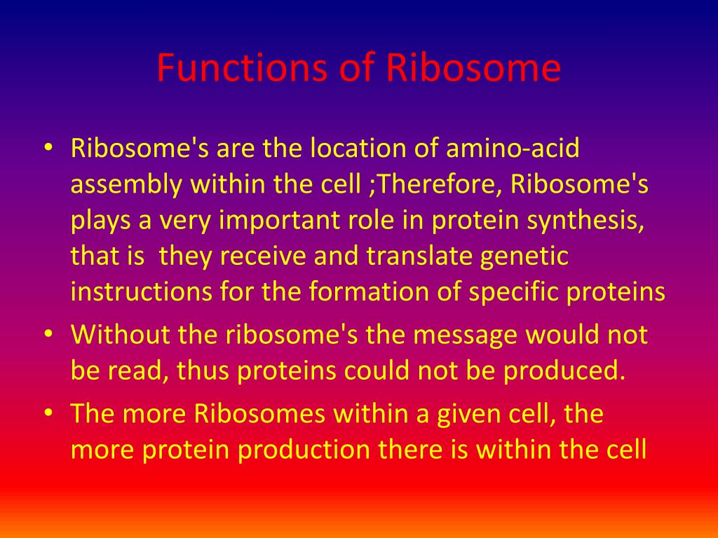 Ppt Ribosome Powerpoint Presentation Free Download Id 5898532