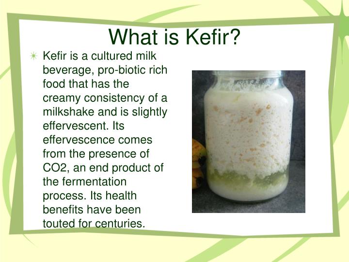 PPT - The Magic of Kefir PowerPoint Presentation - ID:5899703