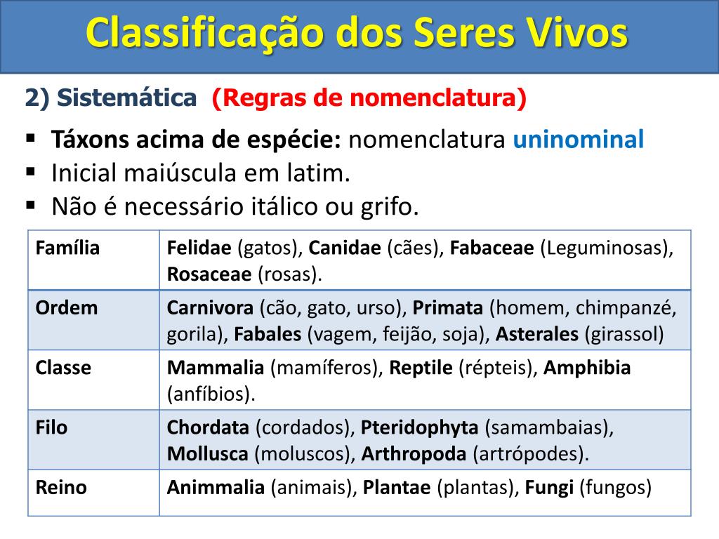 PPT - Aula de Biologia Tema: Classificação dos Seres Vivos Paulo ...