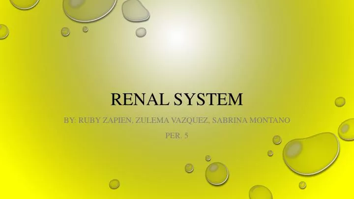 PPT - Renal system PowerPoint Presentation, free download - ID:5901922