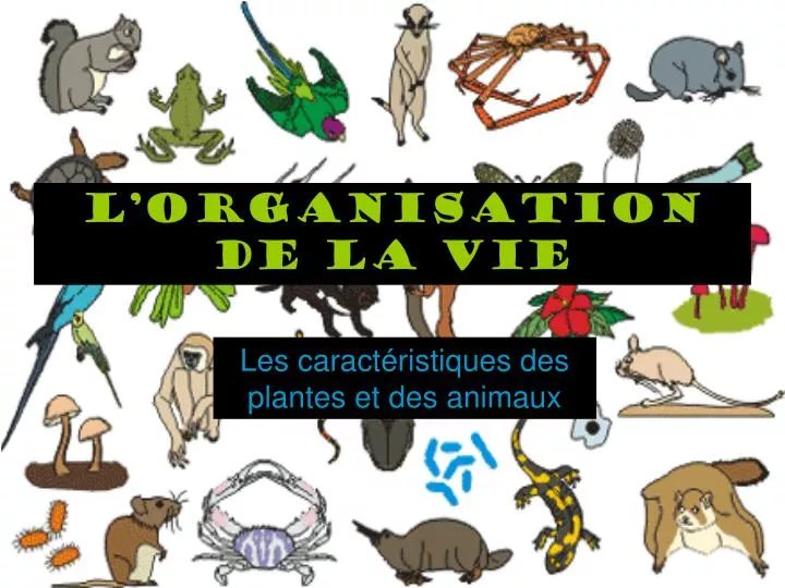 PPT - L’Univers vivant PowerPoint Presentation, free download - ID:5906301