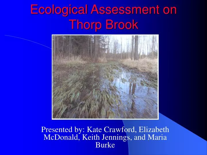 PPT - Ecological Assessment on Thorp Brook PowerPoint Presentation ...