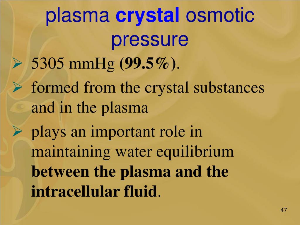 PPT - LIU Chuan Yong 刘传勇 Institute of Physiology Medical School of SDU ...