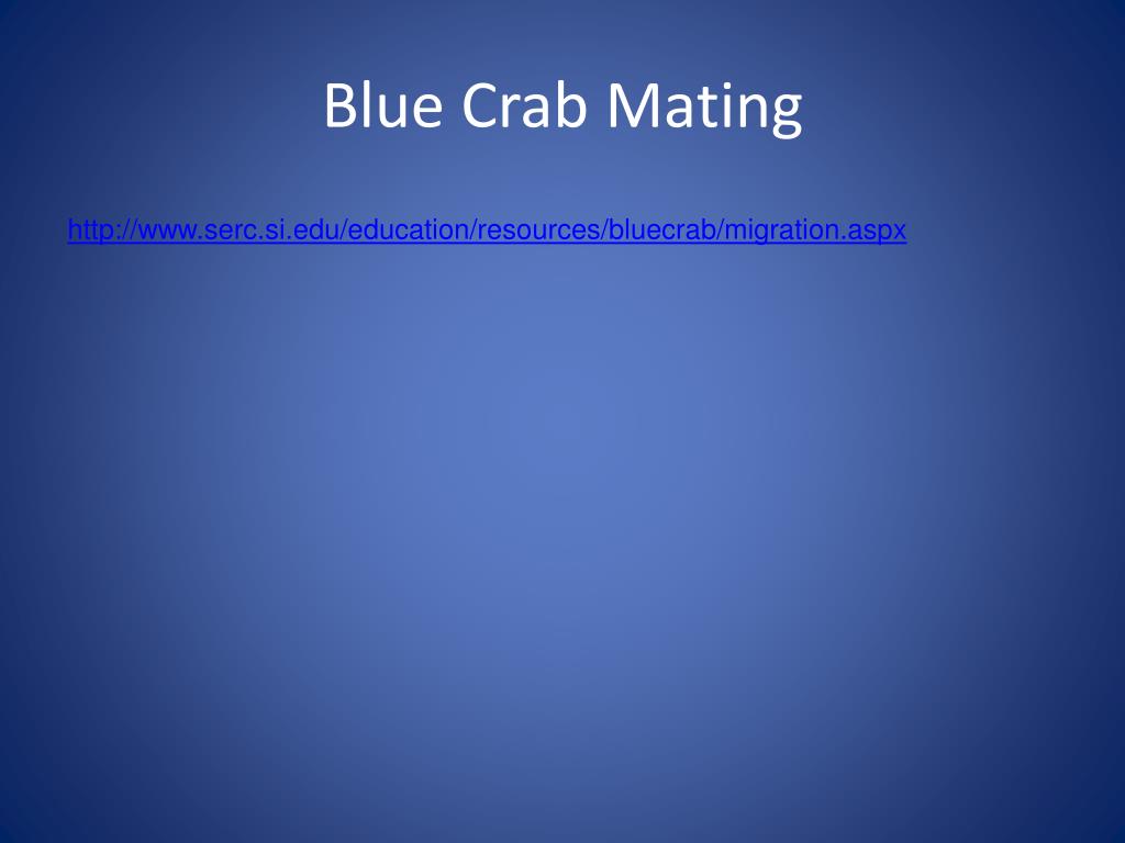 PPT - The Crustaceans -- Marine Arthropods & their Relatives PowerPoint ...
