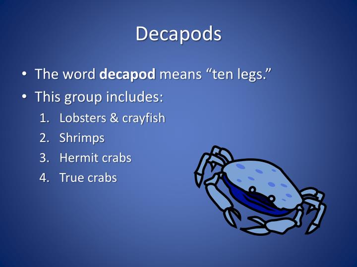 PPT - The Crustaceans -- Marine Arthropods & their Relatives PowerPoint ...