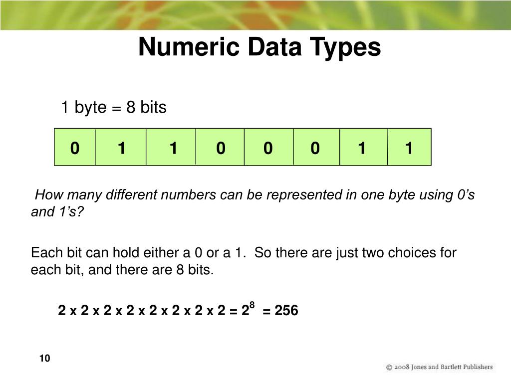 PPT Chapter 4 Numeric Types PowerPoint Presentation Free Download