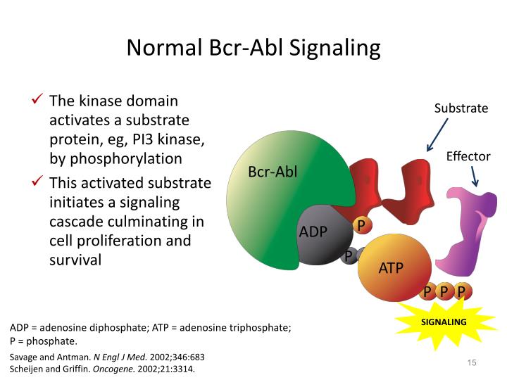 PPT - Chronic myeloproliferative disease PowerPoint Presentation - ID ...