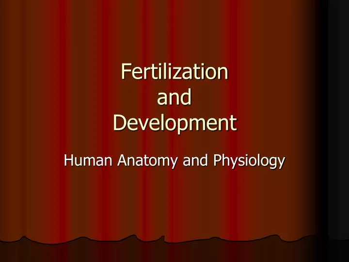PPT - Fertilization and Development PowerPoint Presentation, free ...