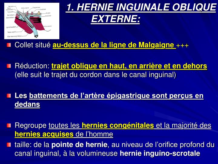 PPT - HERNIES DE L’AINE PowerPoint Presentation - ID:5917180