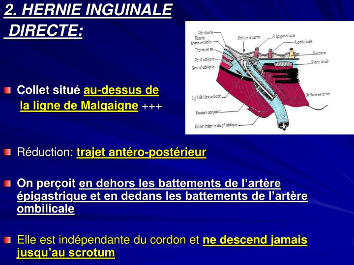 PPT - HERNIES DE L’AINE PowerPoint Presentation - ID:5917180