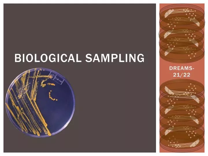 PPT - Biological sampling PowerPoint Presentation, free download - ID ...