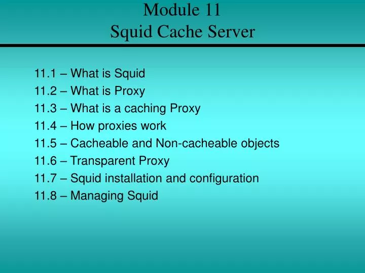 PPT - Module 11 Squid Cache Server PowerPoint Presentation, free ...