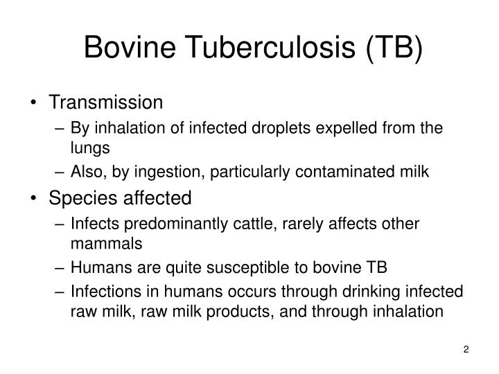 PPT - Bovine Tuberculosis (TB) PowerPoint Presentation - ID:5927592