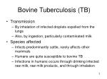 PPT - Bovine Tuberculosis (TB) PowerPoint Presentation - ID:5927592