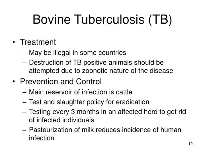 PPT - Bovine Tuberculosis (TB) PowerPoint Presentation - ID:5927592