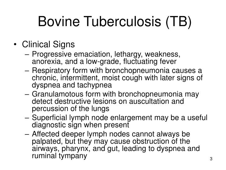 PPT - Bovine Tuberculosis (TB) PowerPoint Presentation - ID:5927592