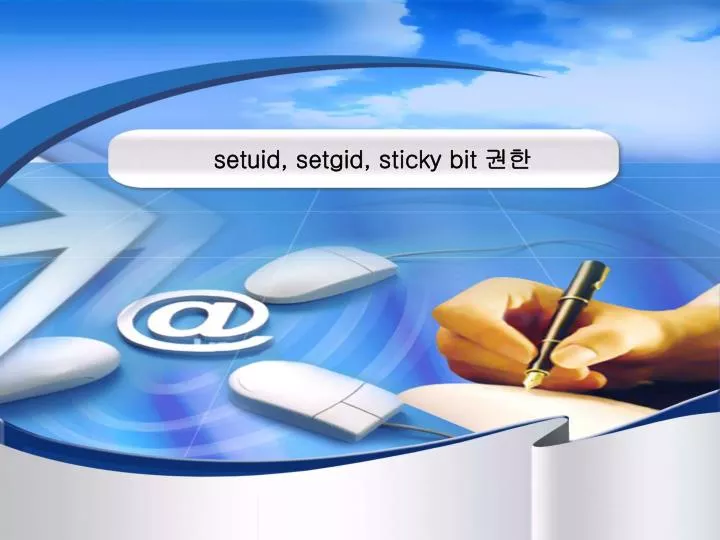 Ppt Setuid Setgid Sticky Bit 권한 Powerpoint Presentation Free Download Id5927997
