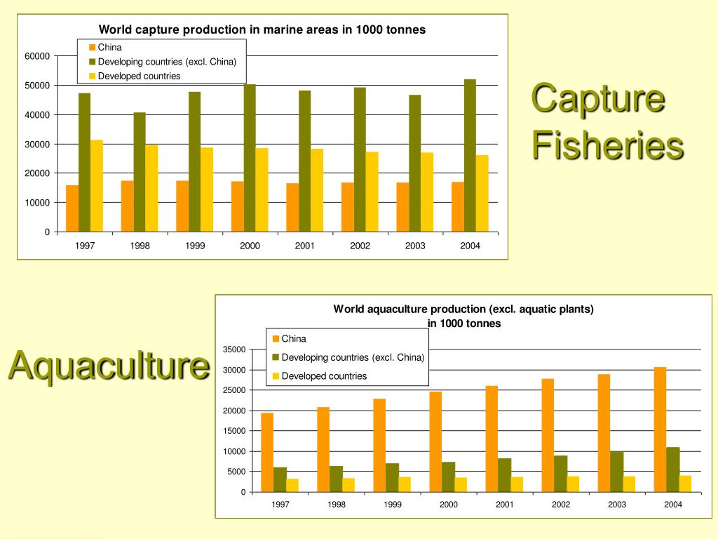 PPT - GLOBAL SEAFOOD TRADE The Role of Aquaculture and Consumer Needs ...