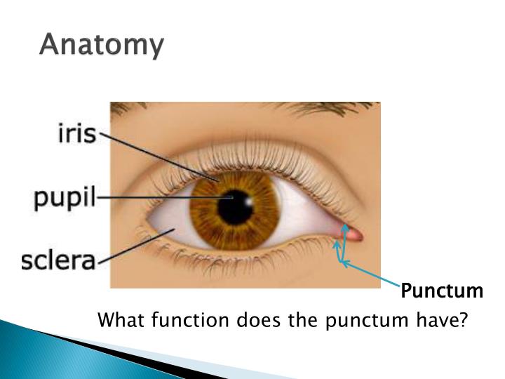 PPT - The Tear Evaluation PowerPoint Presentation - ID:5931643