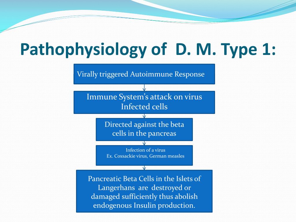 PPT - Understanding Diabetes Mellitus: Types, Symptoms, and Management ...