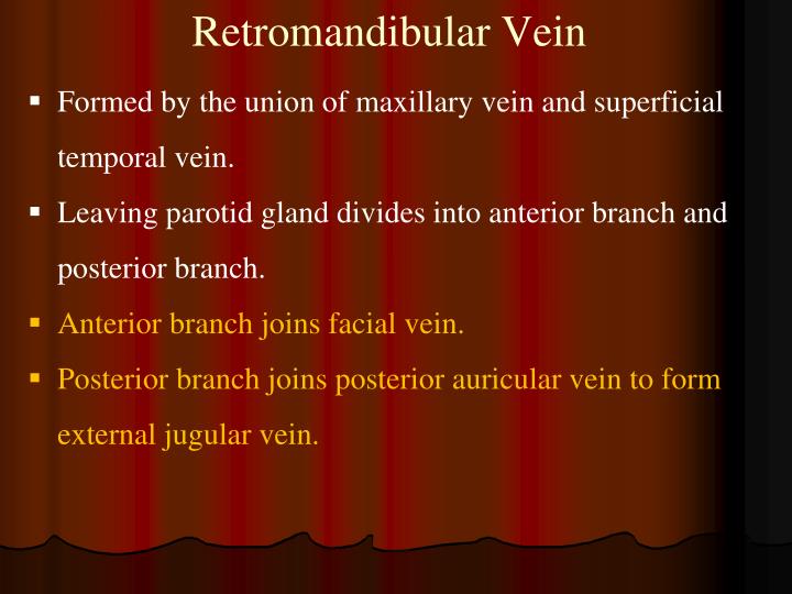 PPT - Blood Supply of Head & Neck PowerPoint Presentation - ID:5942323