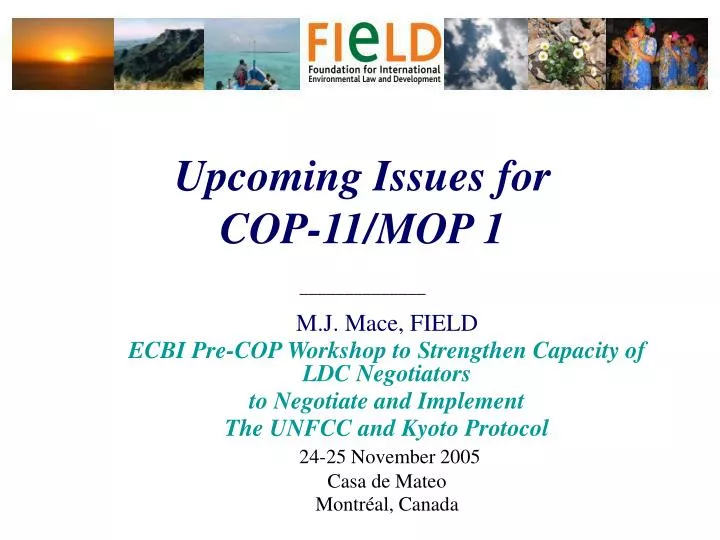 PPT - Upcoming Issues for COP-11/MOP 1 ______________ PowerPoint ...
