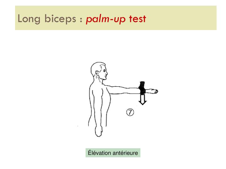 PPT - Pathologie abarticulaire PowerPoint Presentation - ID:5943493