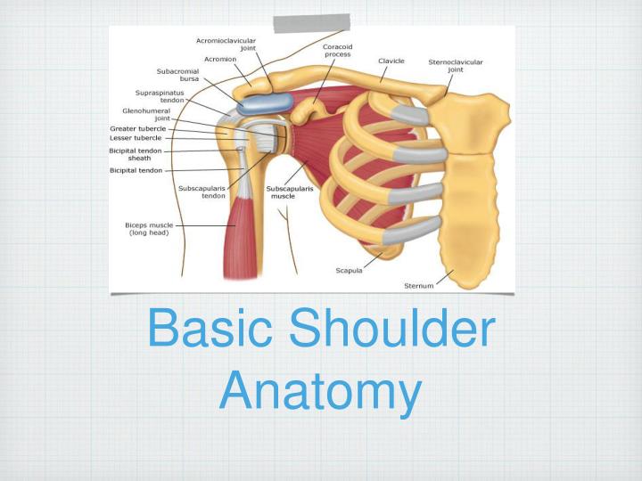 PPT - Orthopaedic special tests for the shoulder PowerPoint ...