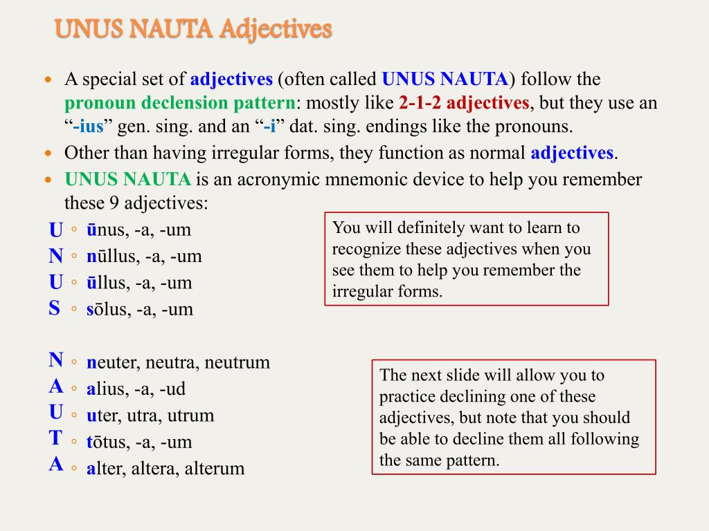 PPT - Pronouns and UNUS NAUTA Adjectives PowerPoint Presentation, free ...
