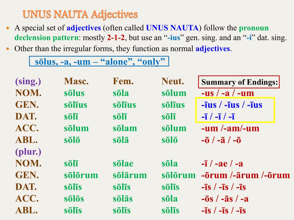 PPT - Pronouns and UNUS NAUTA Adjectives PowerPoint Presentation, free ...