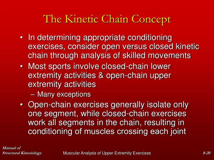 PPT - Chapter 8 Muscular Analysis of Upper Extremity Exercises ...