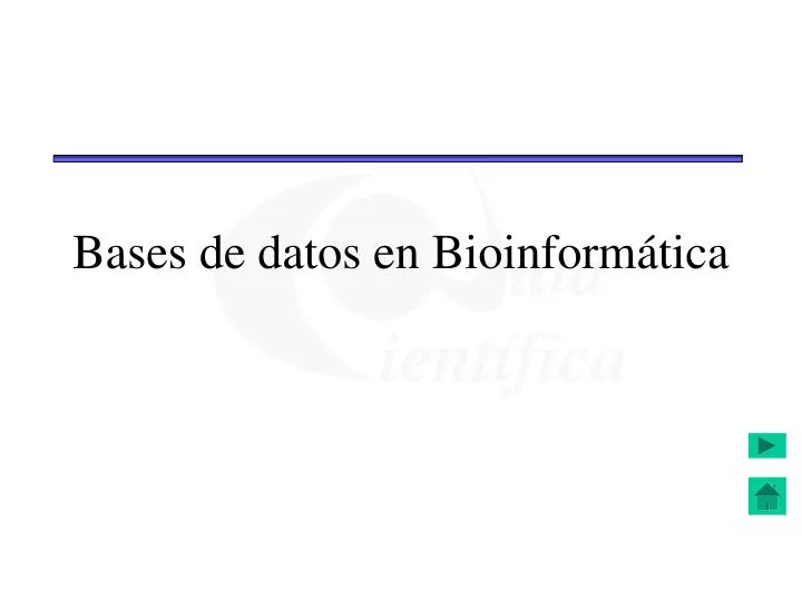 PPT - Bases de datos en Bioinformática PowerPoint Presentation, free download - ID:5946553