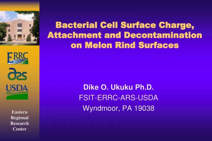 PPT - Bacterial Cell Surface Charge, Attachment and Decontamination on ...