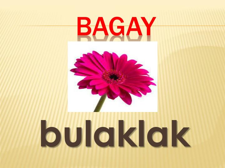 PPT - PANGNGALAN Ito ang salitang tumutukoy sa ngalan ng tao, bagay ...