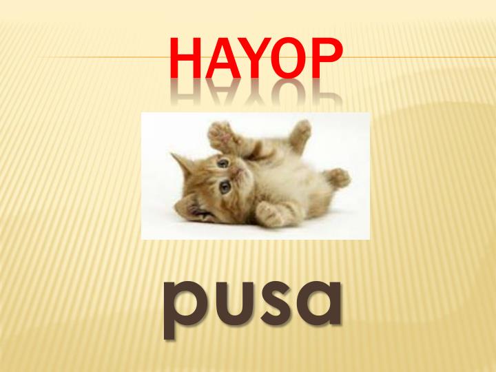 PPT - PANGNGALAN Ito ang salitang tumutukoy sa ngalan ng tao, bagay ...