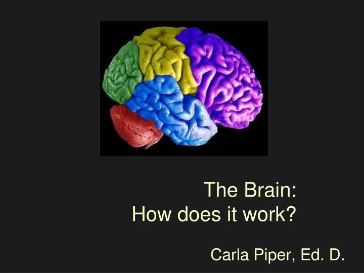 PPT - The Brain: How does it work? PowerPoint Presentation, free ...