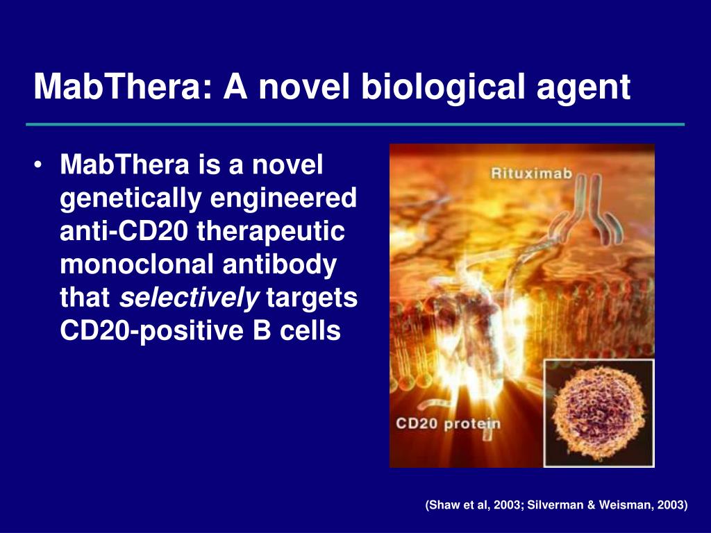 PPT - MabThera – the past, present and future impact on the treatment ...