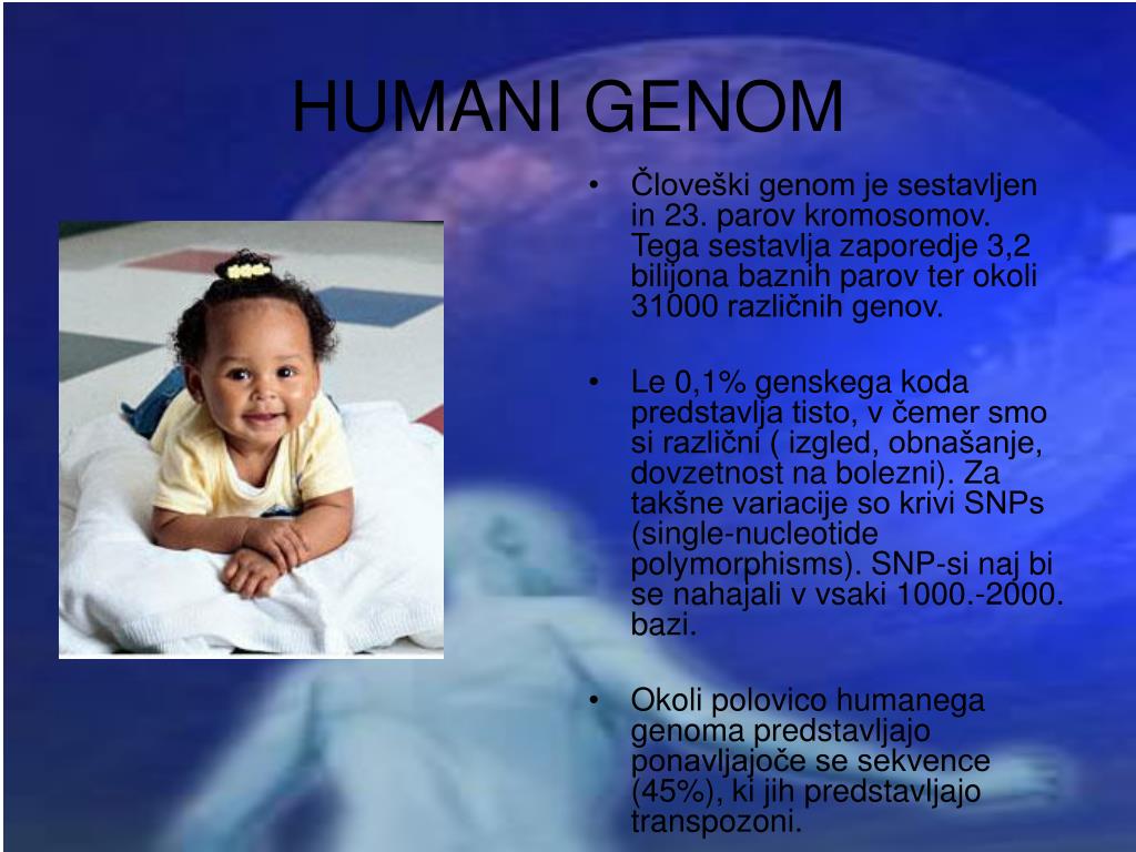 PPT - HUMANI GENOM PowerPoint Presentation, free download - ID:5957103