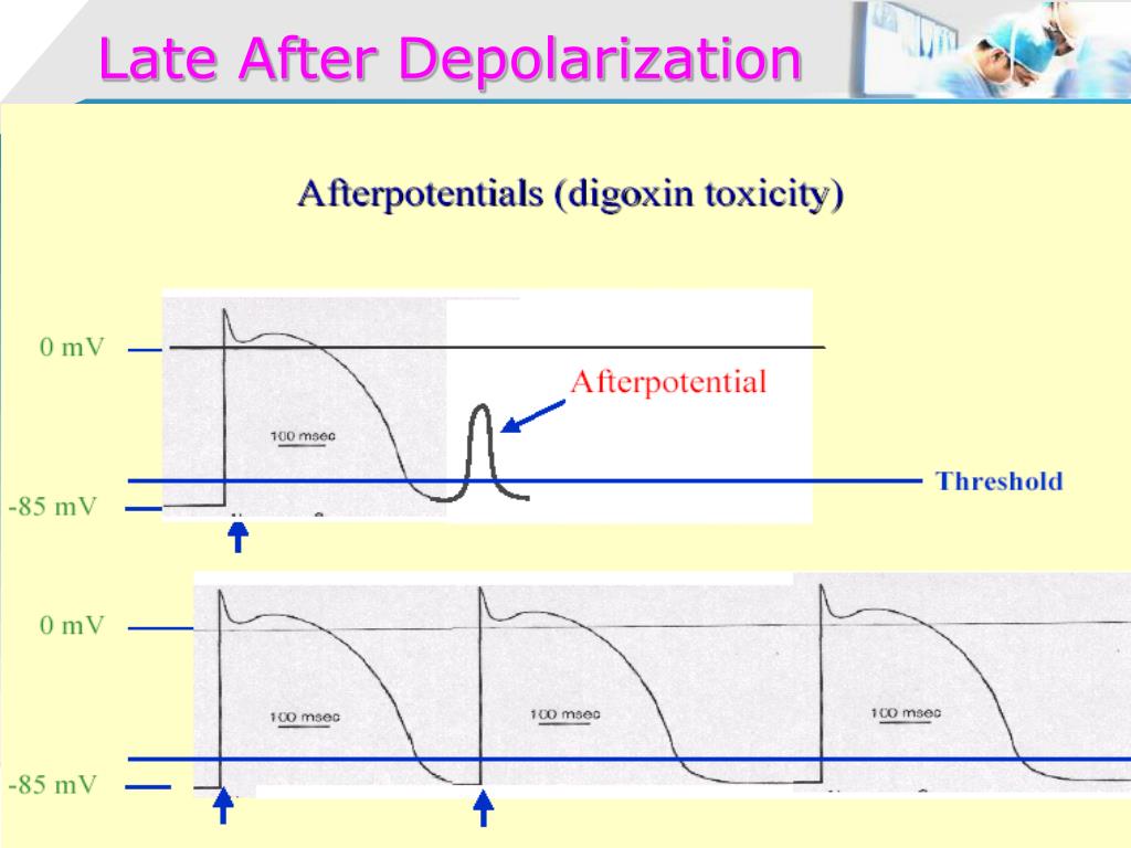 PPT - PHARMACOLOGY OF ANTI-ARRHYTHMICS PowerPoint Presentation, free ...