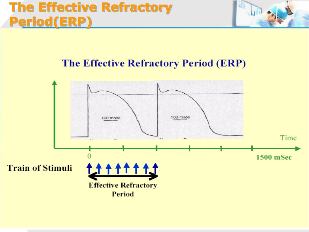 PPT - PHARMACOLOGY OF ANTI-ARRHYTHMICS PowerPoint Presentation, free ...