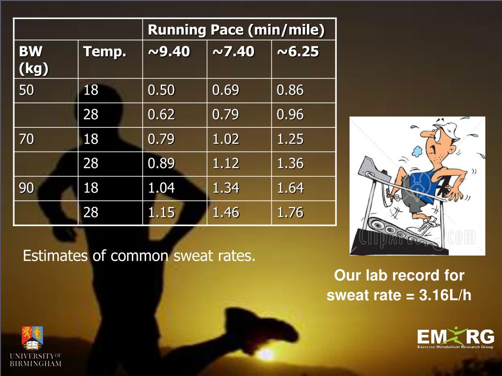 PPT - Nutrition Strategies for the Marathon and Half Marathon ...