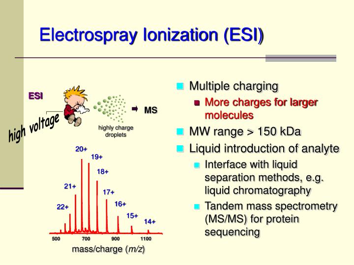 PPT - Mass Spectrometry-Based Methods for Protein Identification ...