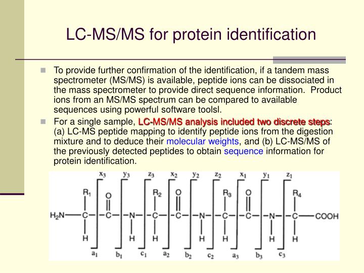 PPT - Mass Spectrometry-Based Methods for Protein Identification ...